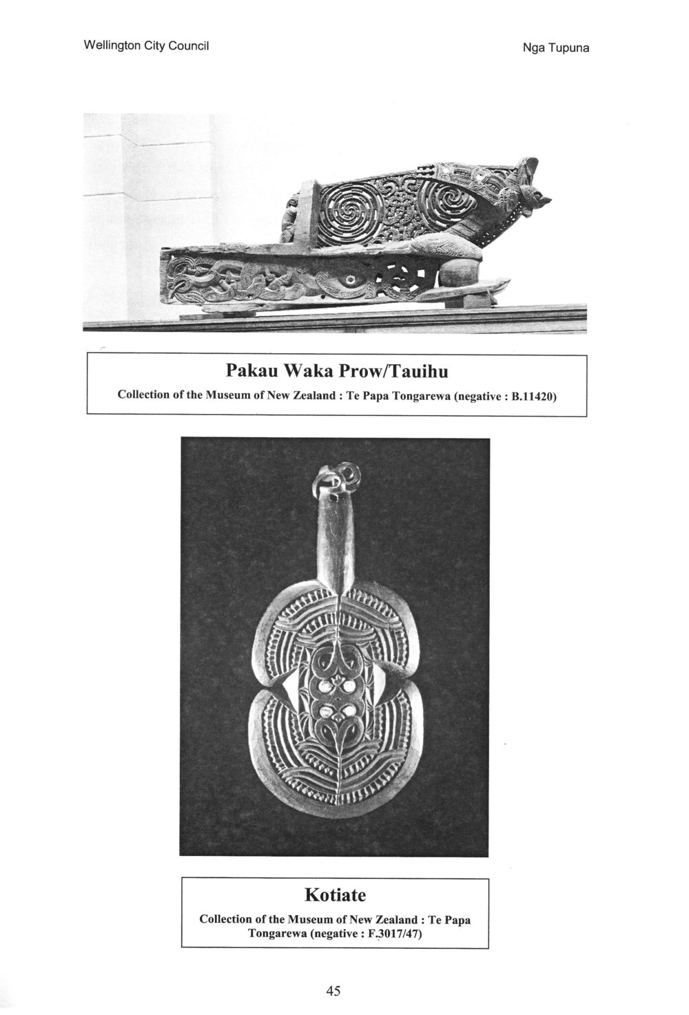 Nga Tupuna o Te Whanganui-a-Tara (Vol. 1) | Wellington City Libraries